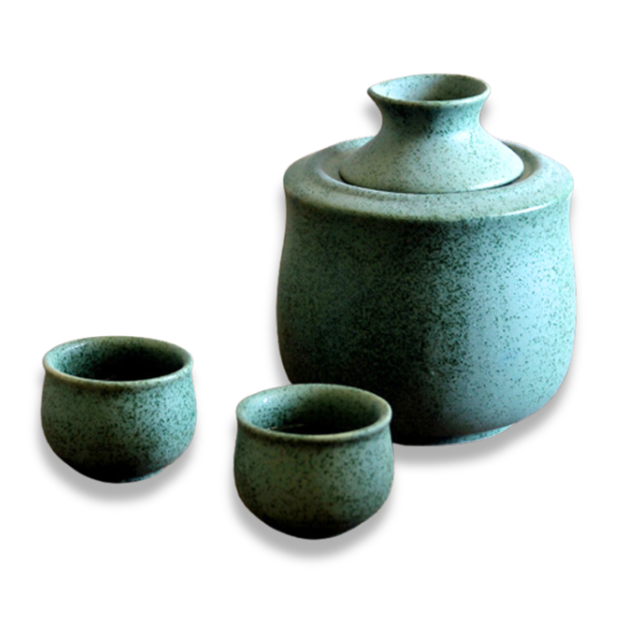 Authentic Mino-Yaki Porcelain Sake Set Bottle for Warm and Cold Sake D ...